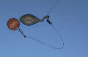 Beginners rigs – Where to start if you are beginning carp fishing – The ...